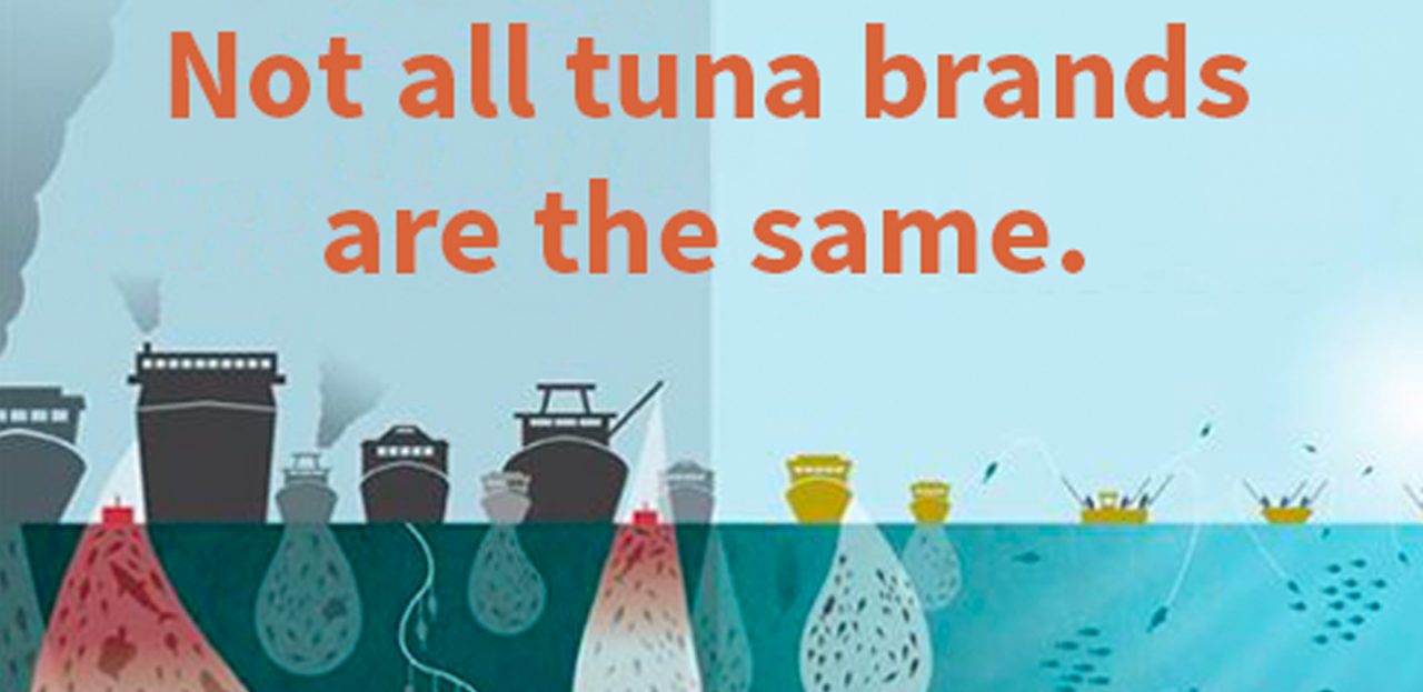 Tuna Sustainability - Santo Amaro